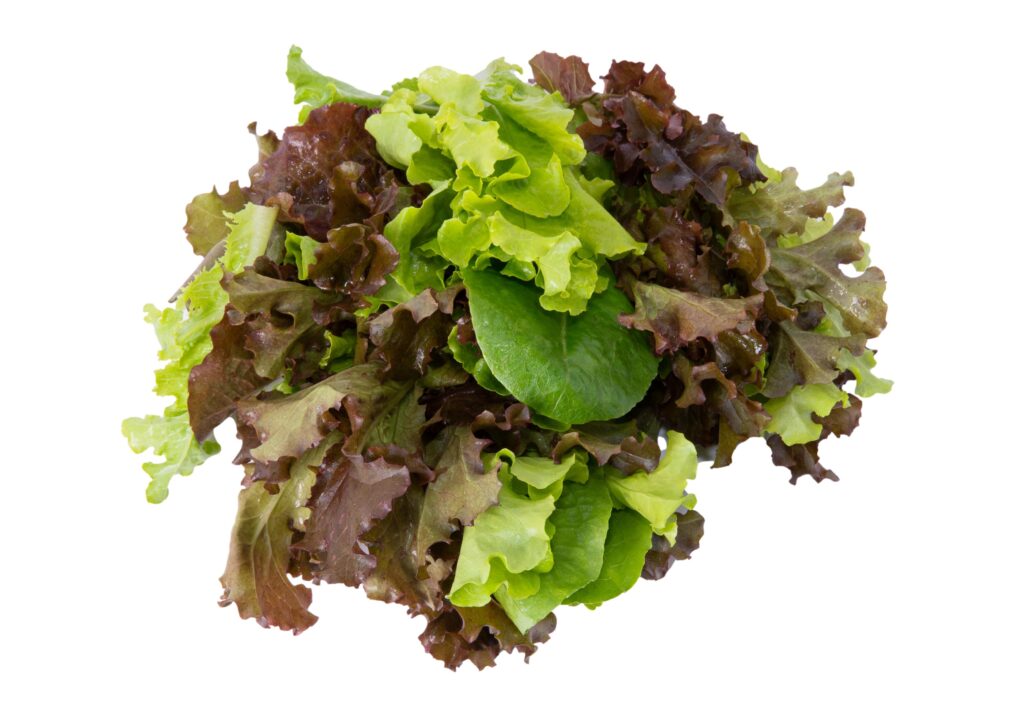 LECHUGAS MIXTAS BABY - Bio Bio - Del campo a la mesa