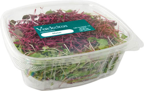 GERMINADO RABANO MIXTO - Bio Bio - Del campo a la mesa