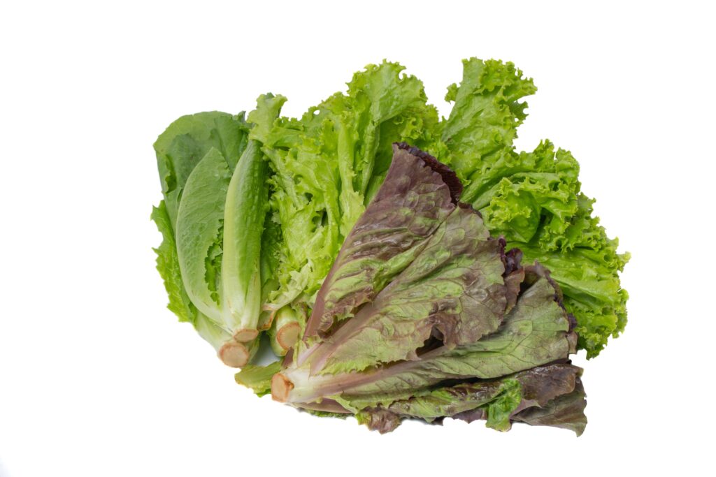 LECHUGAS MIXTAS - Bio Bio - Del campo a la mesa